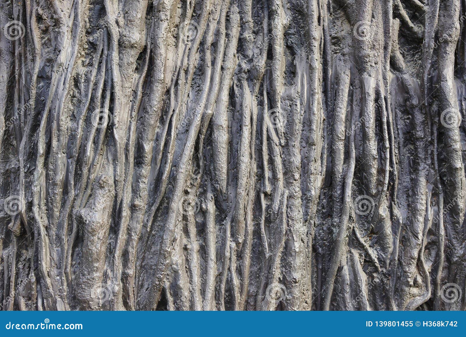 3,744 Textured Roots Stock Photos - Free & Royalty-Free Stock Photos ...