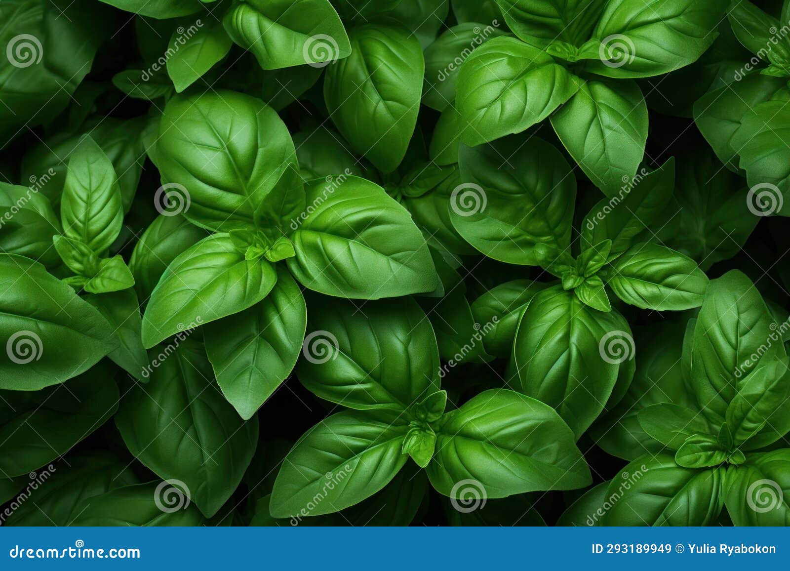 Textured Basil Leaves Background. Generate Ai Stock Image - Image of ...