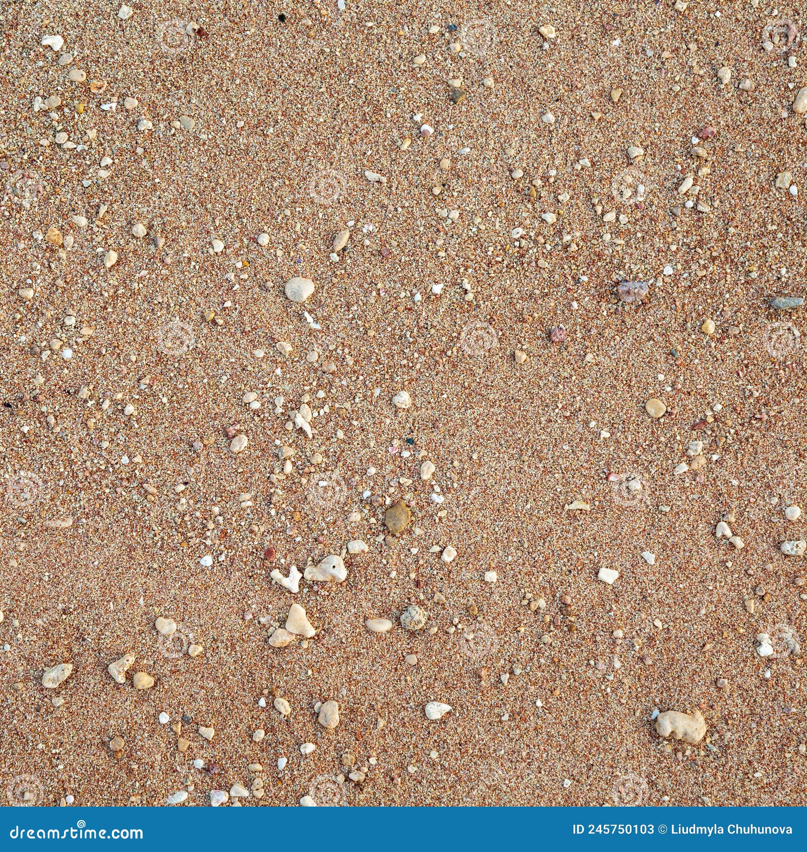 Textured Beach Sand Background, Red Sea, Egypt Stock Image - Image of ...