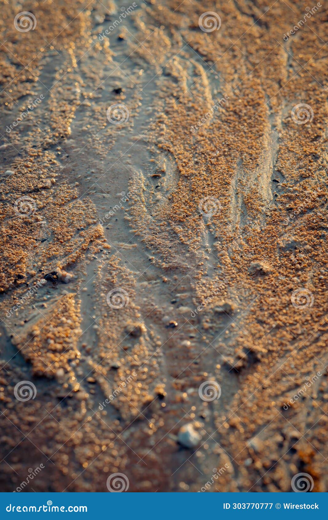 Textured Beach Sand during the Golden Sunset. Stock Image - Image of ...