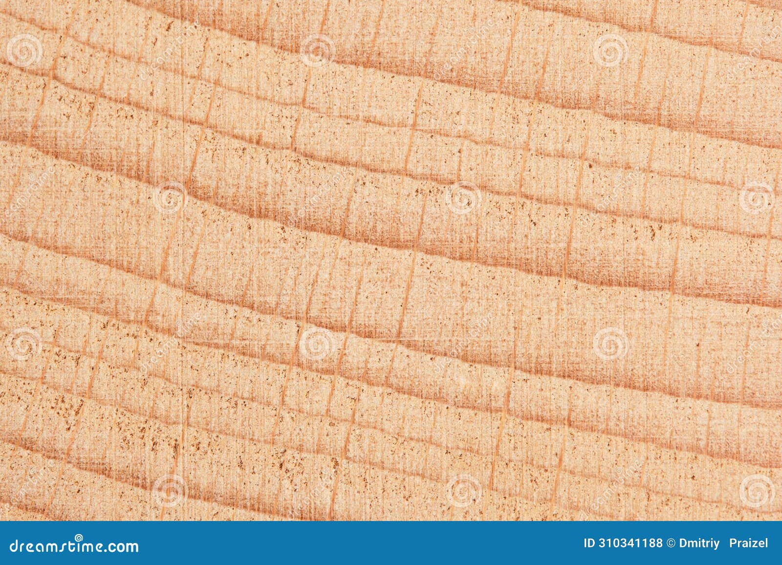 Textured Beech Wood Grain Background. Detailed Grain Patterns Add ...