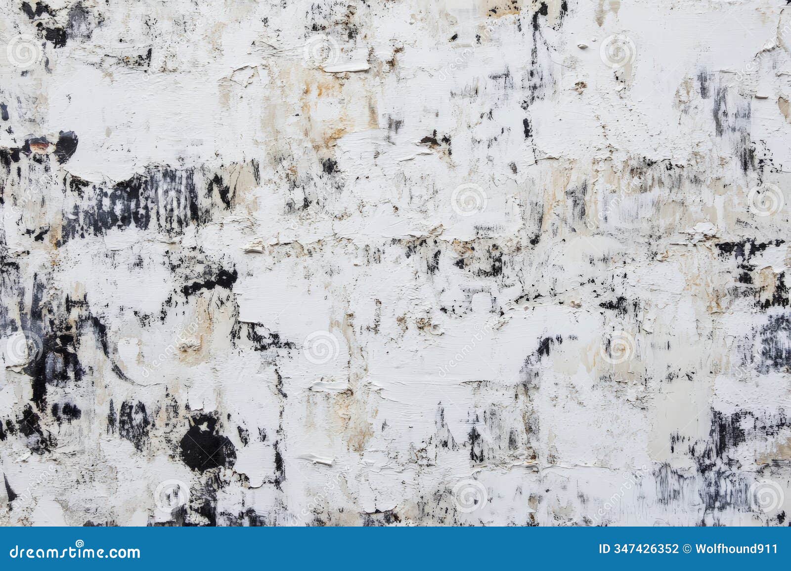 Dry Oak Bark On A White Background. Quercus Cortex. Quercus Robur ...