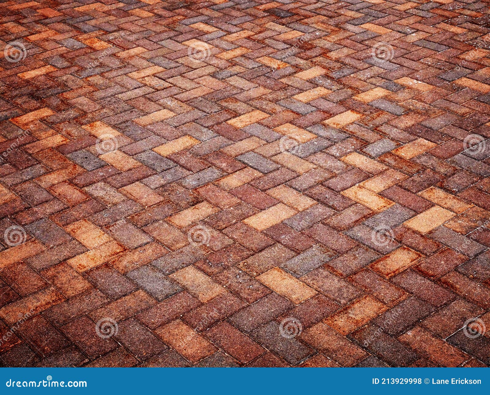 The Path Of The Sidewalk Is Interrupted By Excavation Of A Gutter For ...