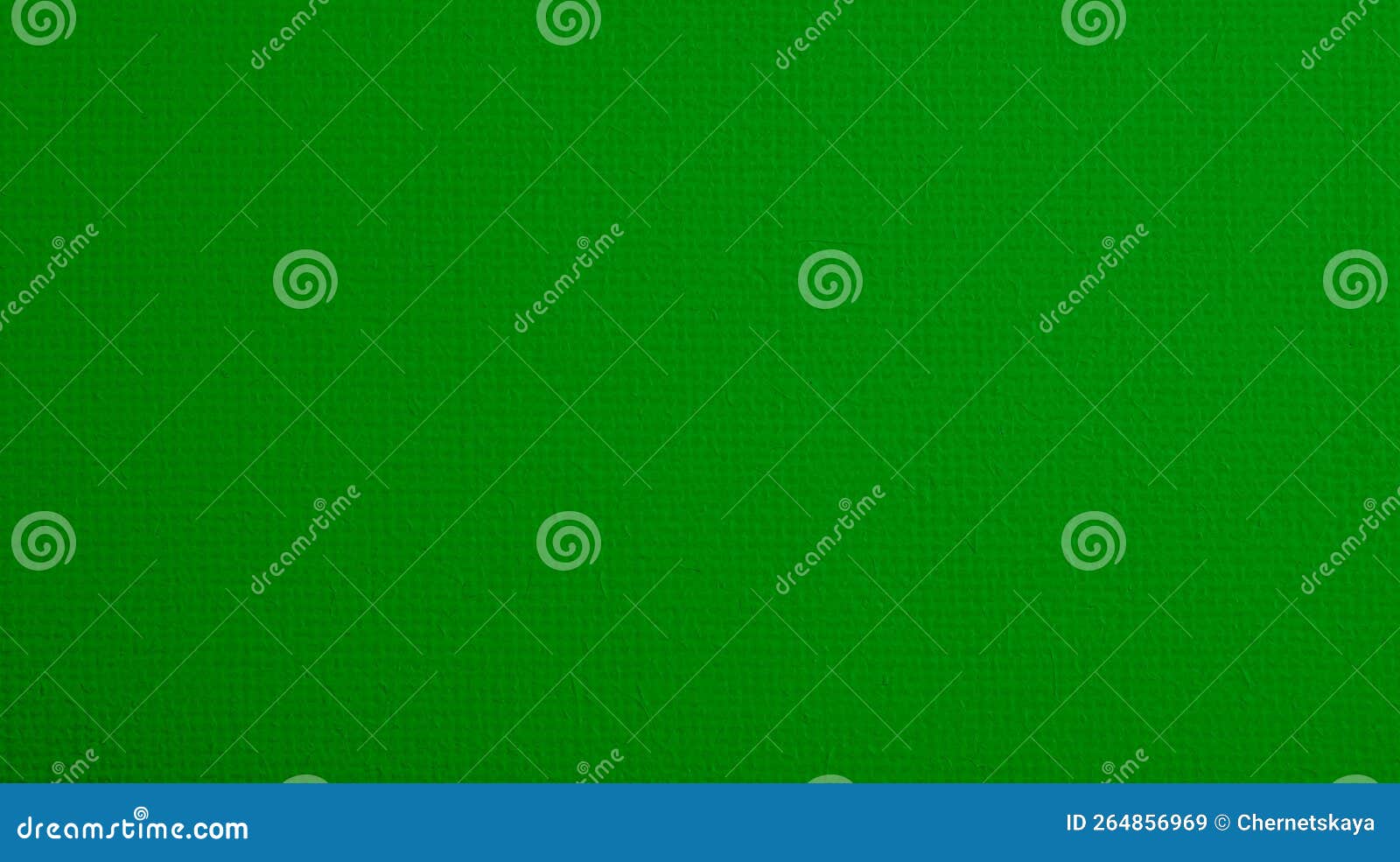 Chroma Key Compositing. Woman Holding Smartphone With Green Screen ...