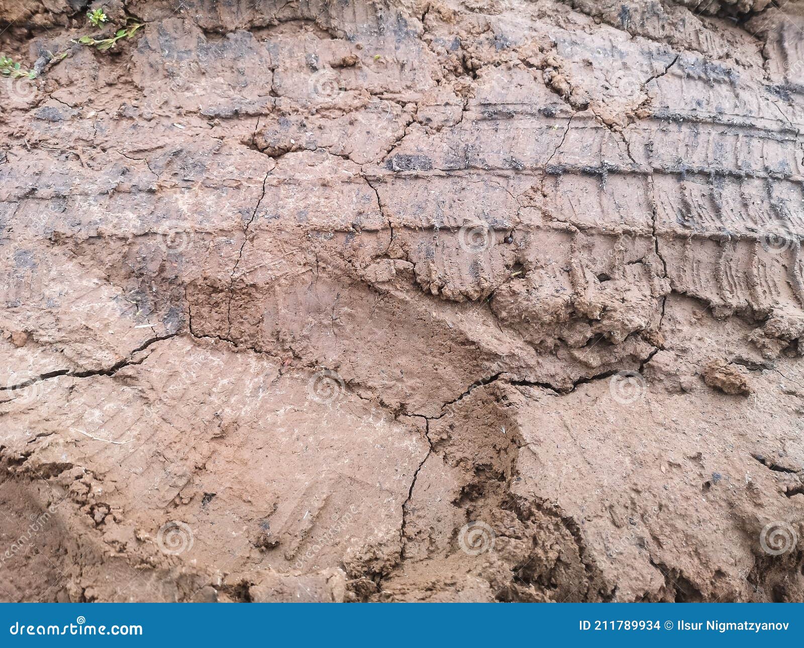 Textured Car Track in the Mud. Template for a Site from the Ground ...