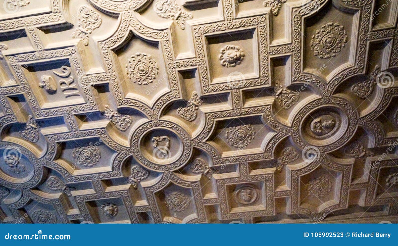 Textured ceiling stock image. Image of kingdom, castle - 105992523