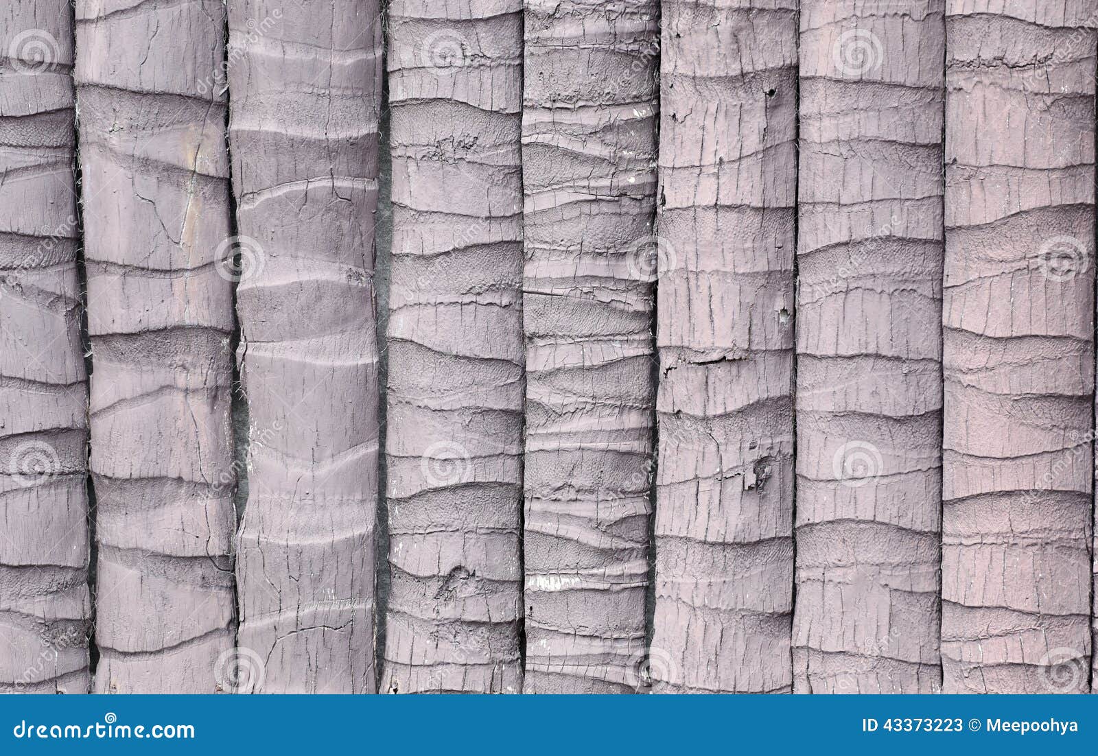 Textured of coconut wood. stock image. Image of background - 43373223
