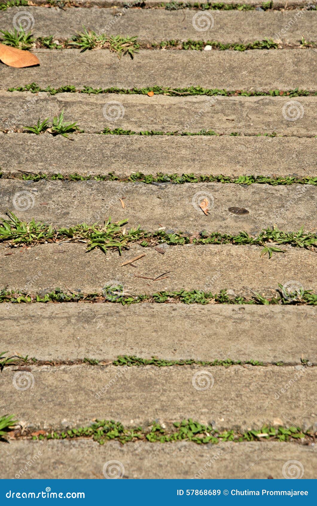Textured of concrete floor stock image. Image of texture - 57868689