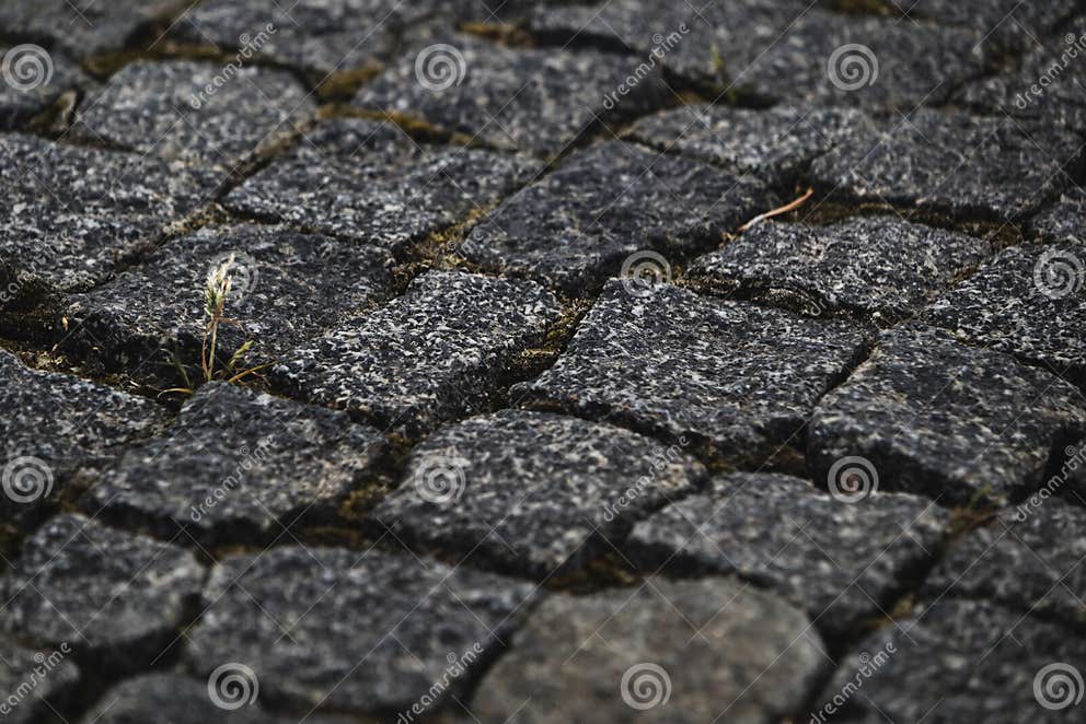 Textured Dark Cobblestone Background Close-up. Cobblestone Texture ...