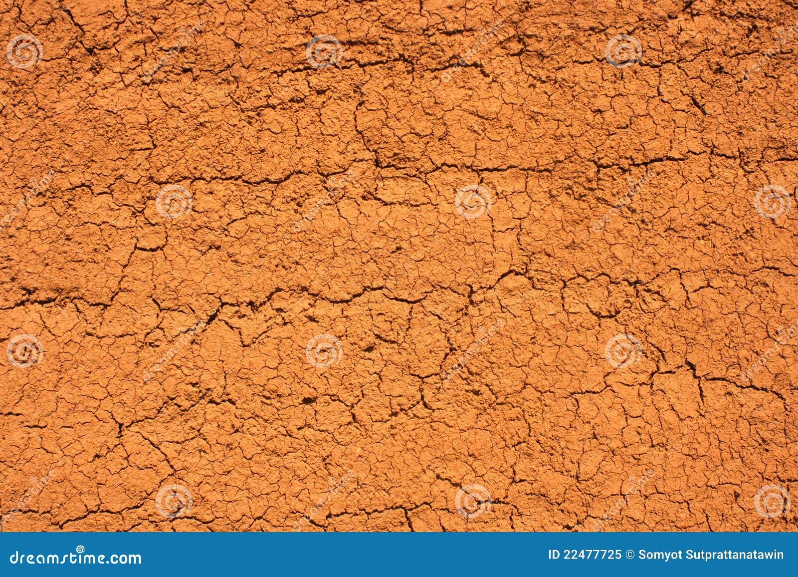Textured dry mud wall stock image. Image of textured - 22477725