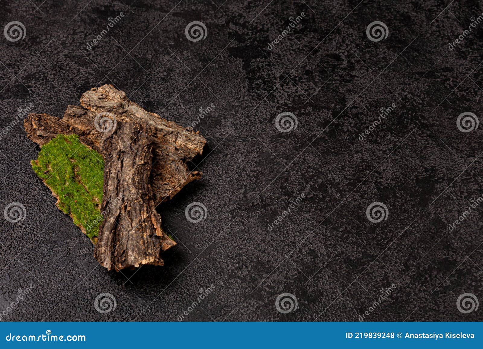 Textured Dry Trunk Surface on Dark Structural Background Stock Photo ...