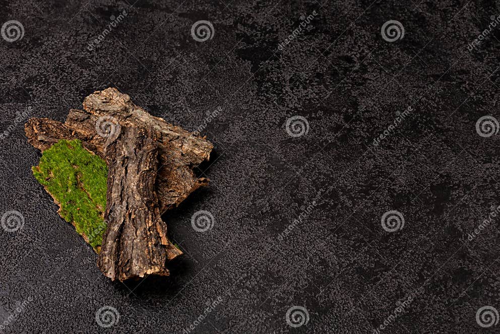 Textured Dry Trunk Surface on Dark Structural Background Stock Photo ...