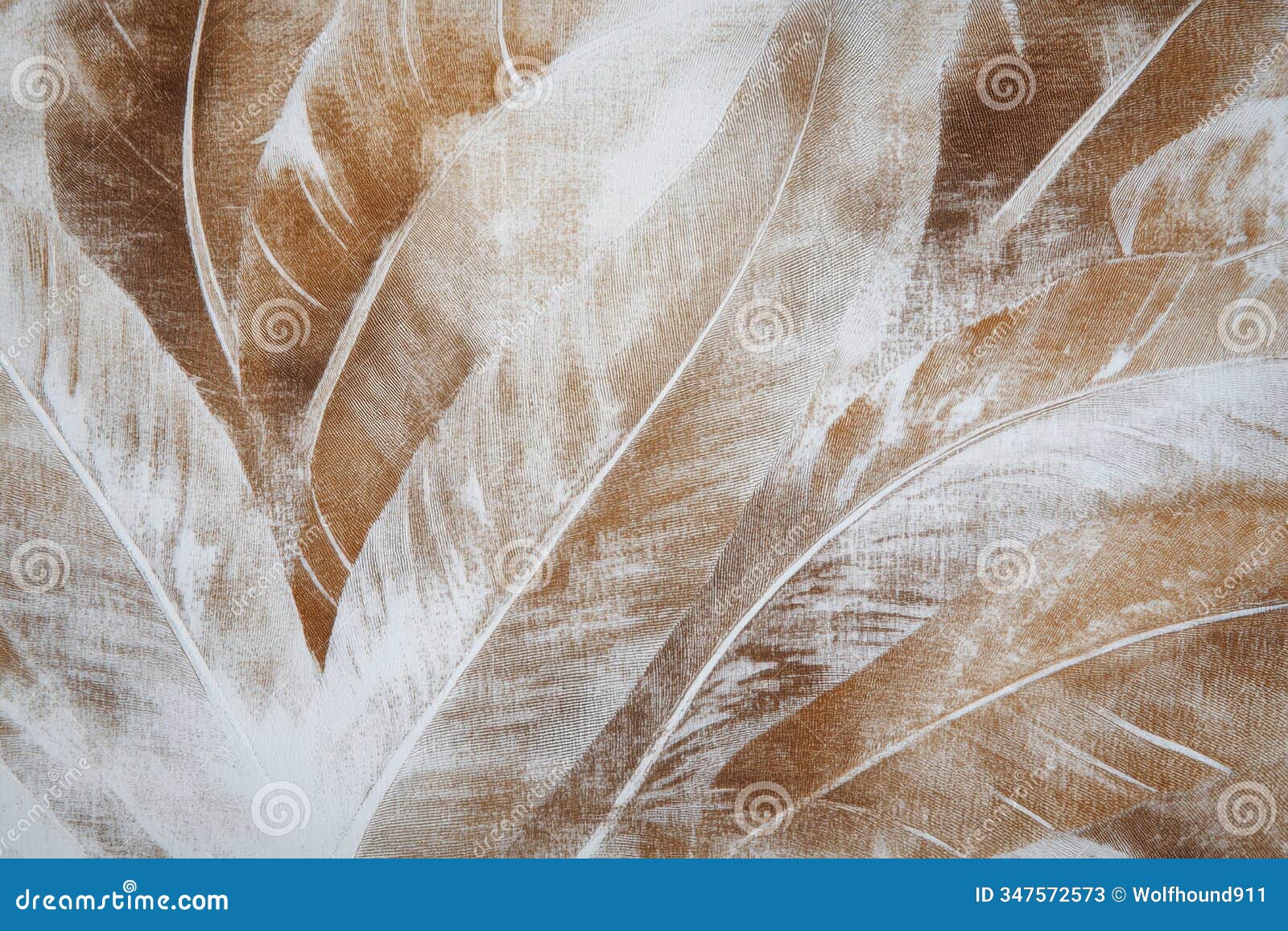 Textured Feathers, Soft Brown and White Patterns with Visible Light and ...