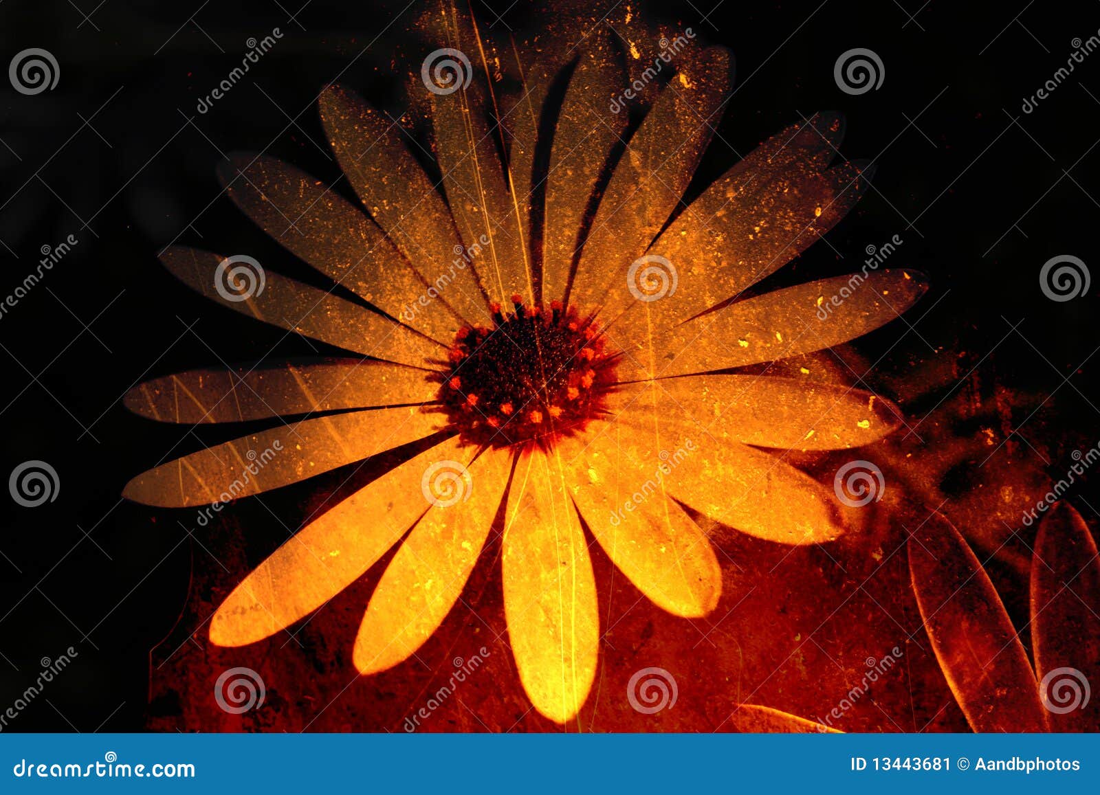Textured Flower stock image. Image of blossom, glowing - 13443681