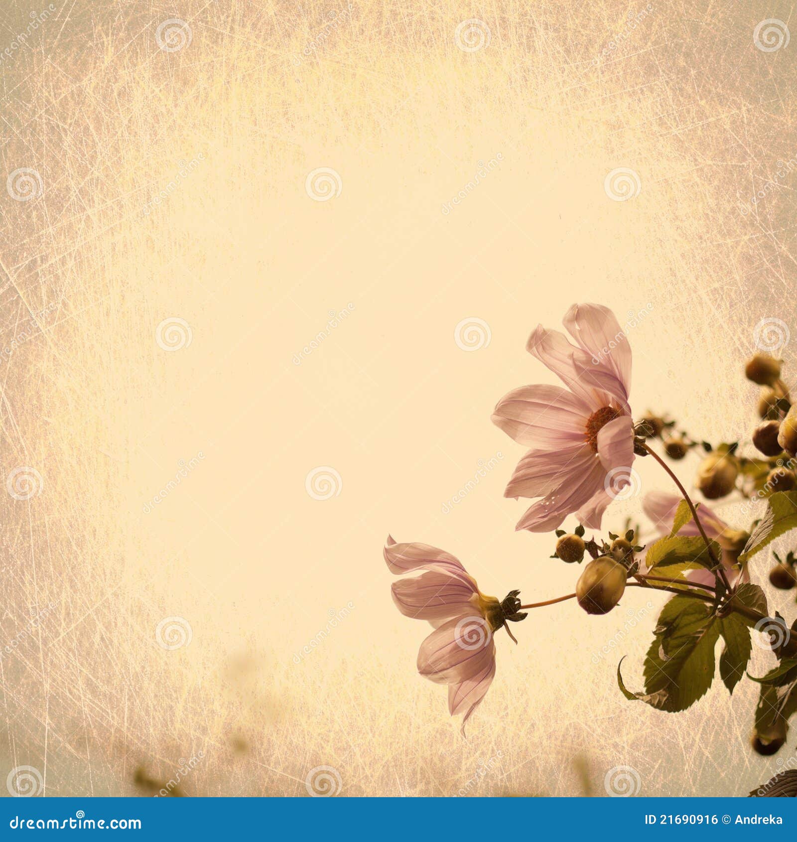 Textured flowers stock photo. Image of abstract, cardboard - 21690916