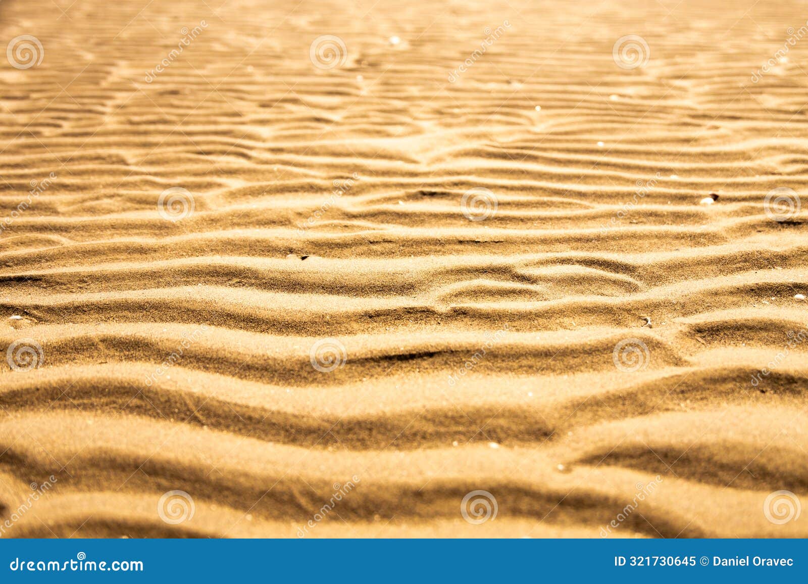 Golden Beach Sand Detail on Beach Stock Image - Image of beach, sand ...