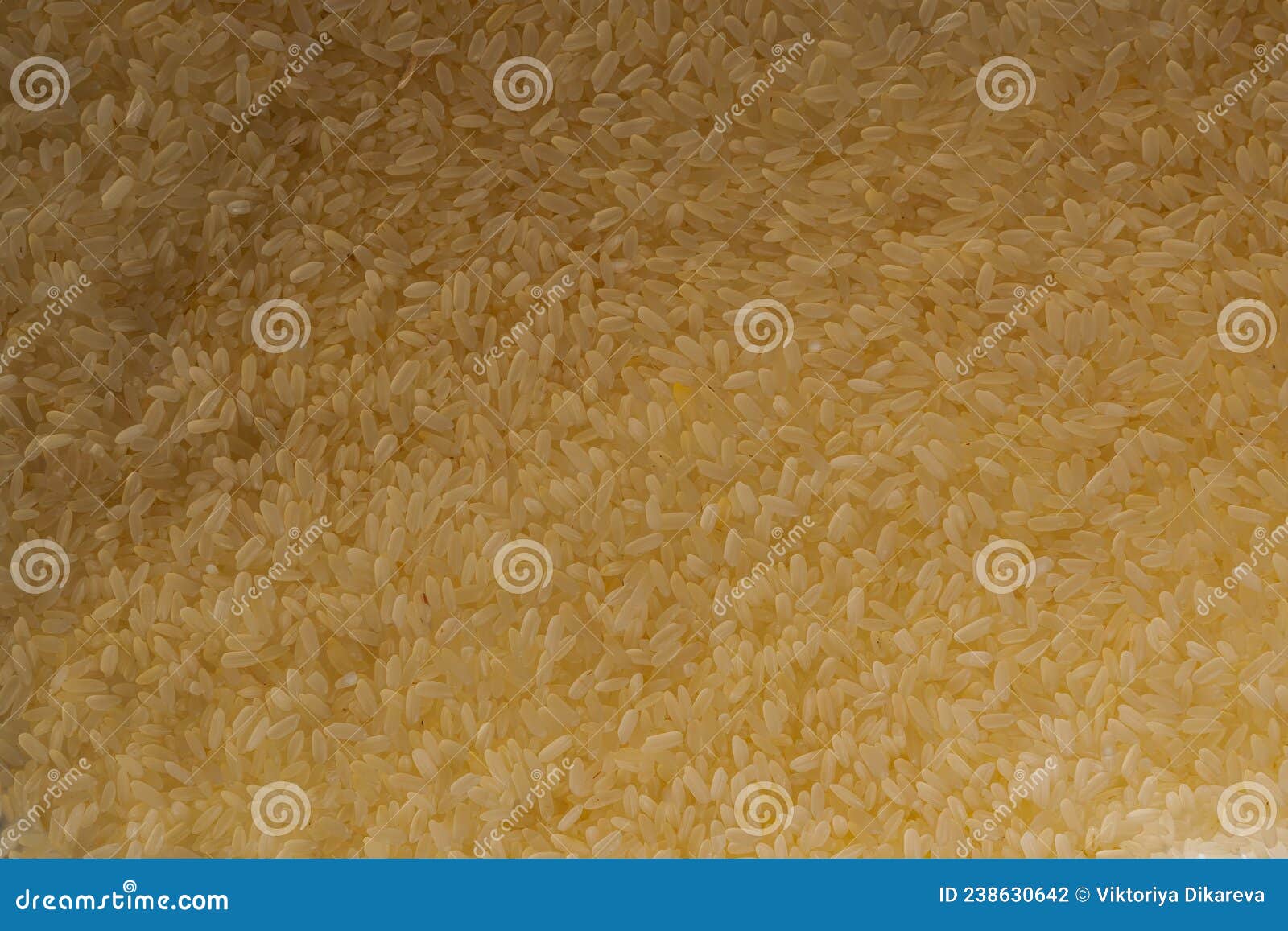 Textured Grains of White Rice, Scattered. Stock Photo - Image of grain ...