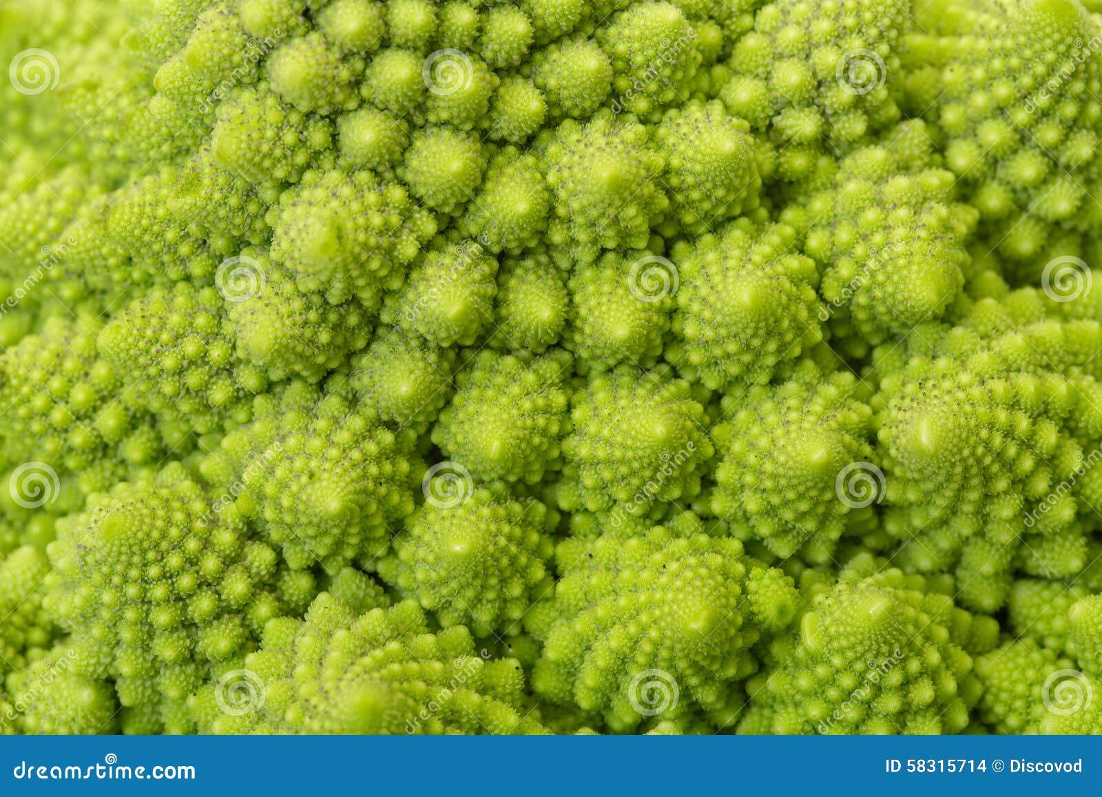 Textured Green Fresh Romanesque Cauliflower Stock Photo - Image of ...