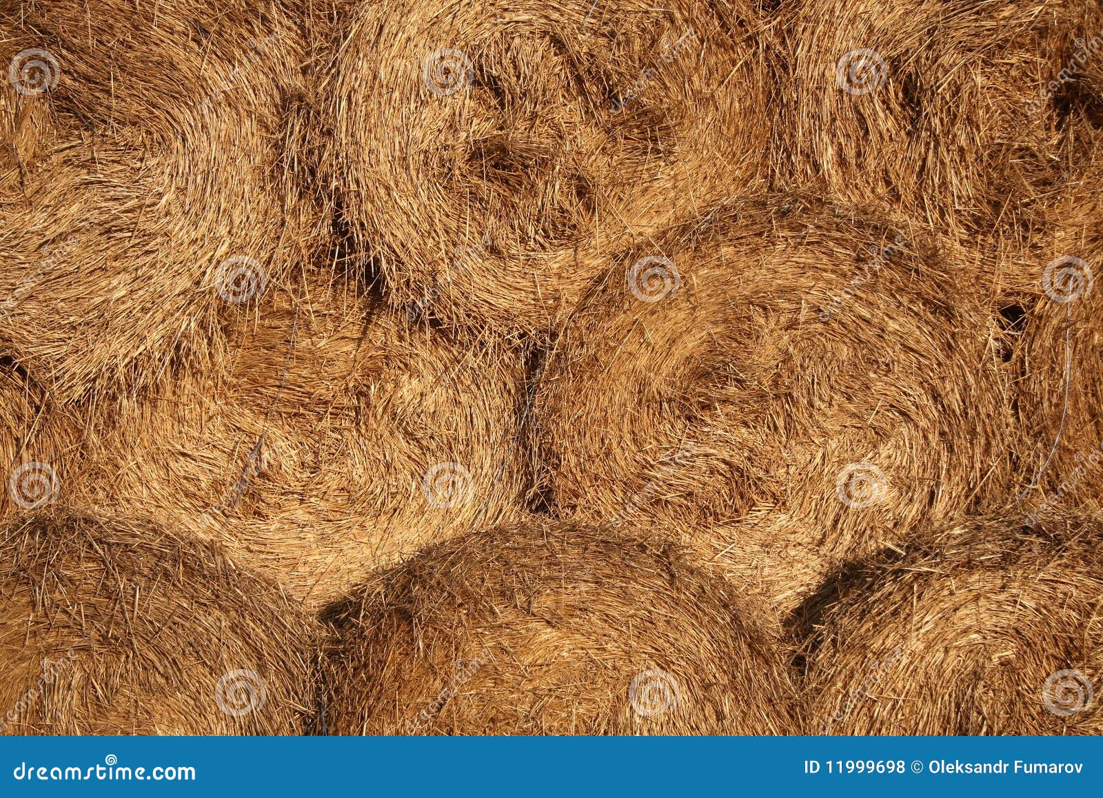 Textured hay bales stock photo. Image of crop, countryside - 11999698