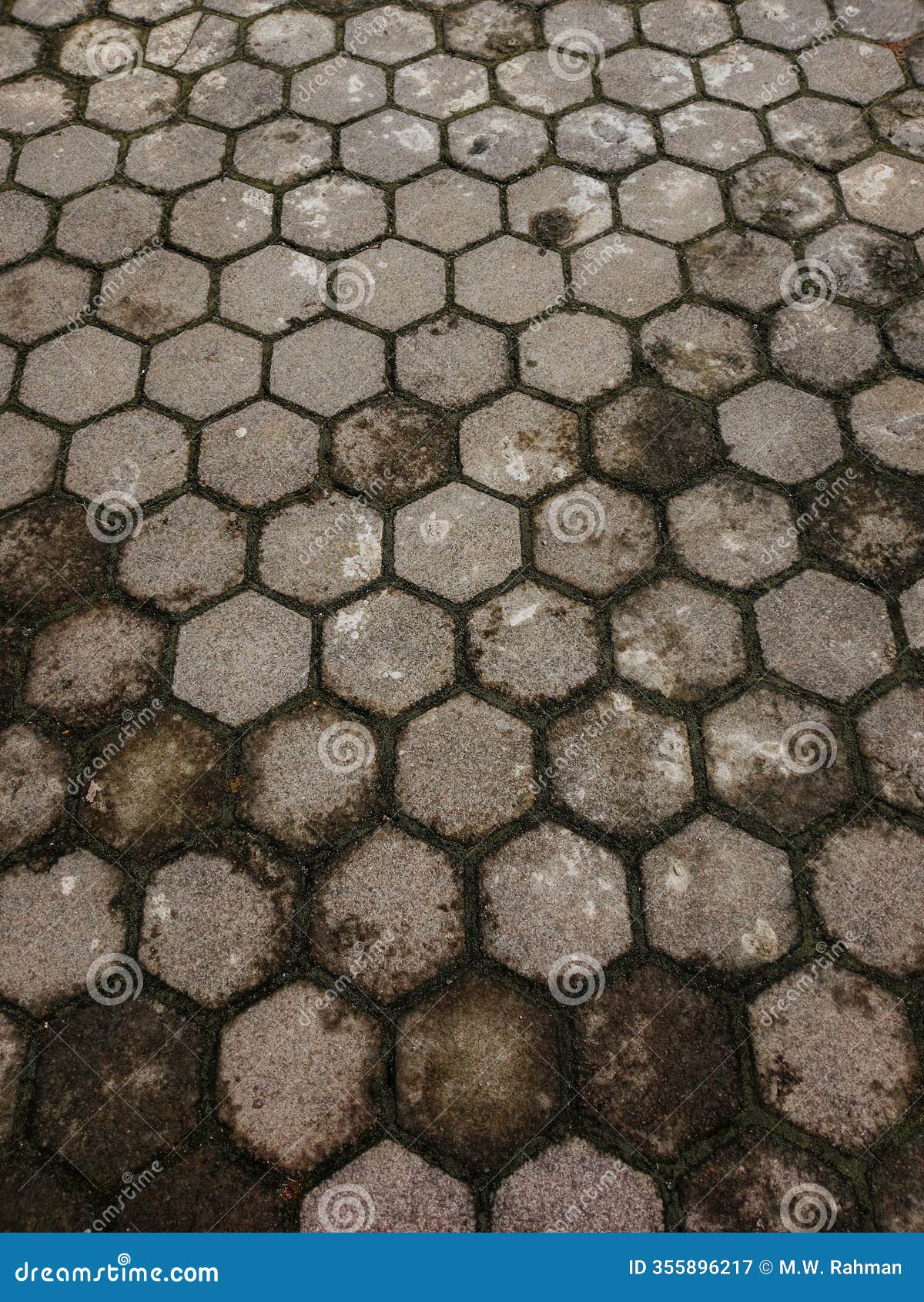 Textured Hexagonal Tile Pattern with Grass Growing between Stones ...