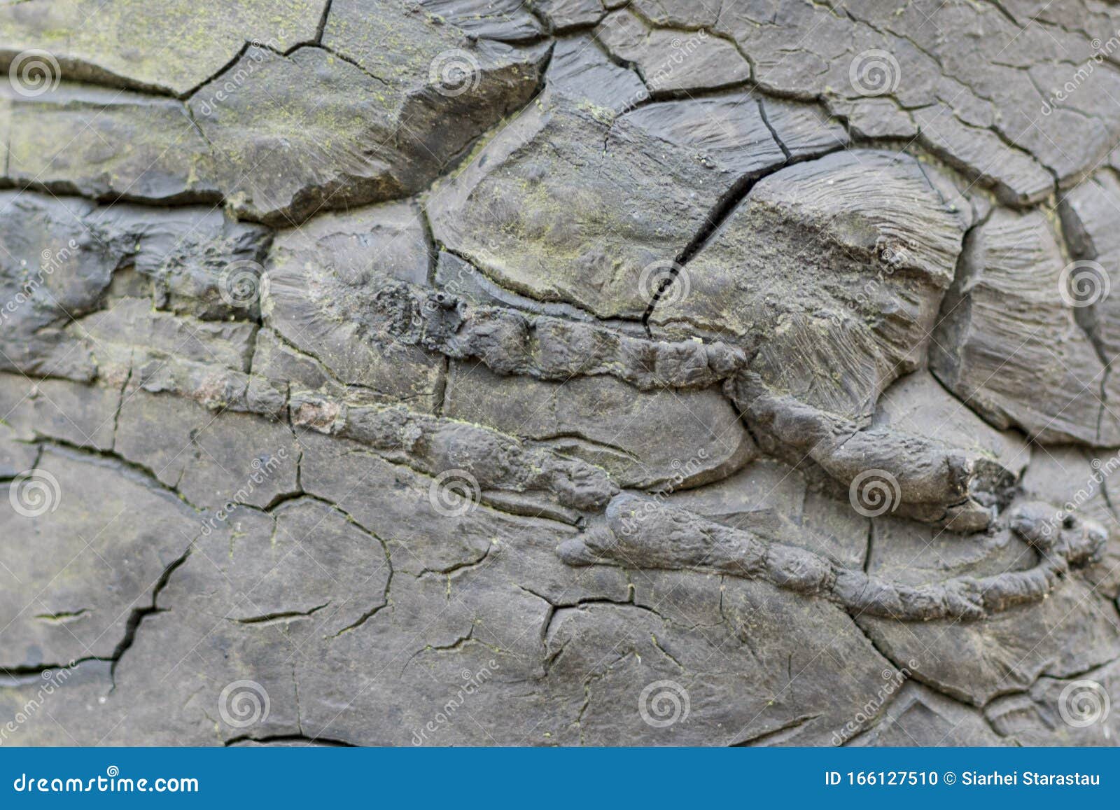 Textured Image of the Surface of the Resin Stock Photo - Image of ...