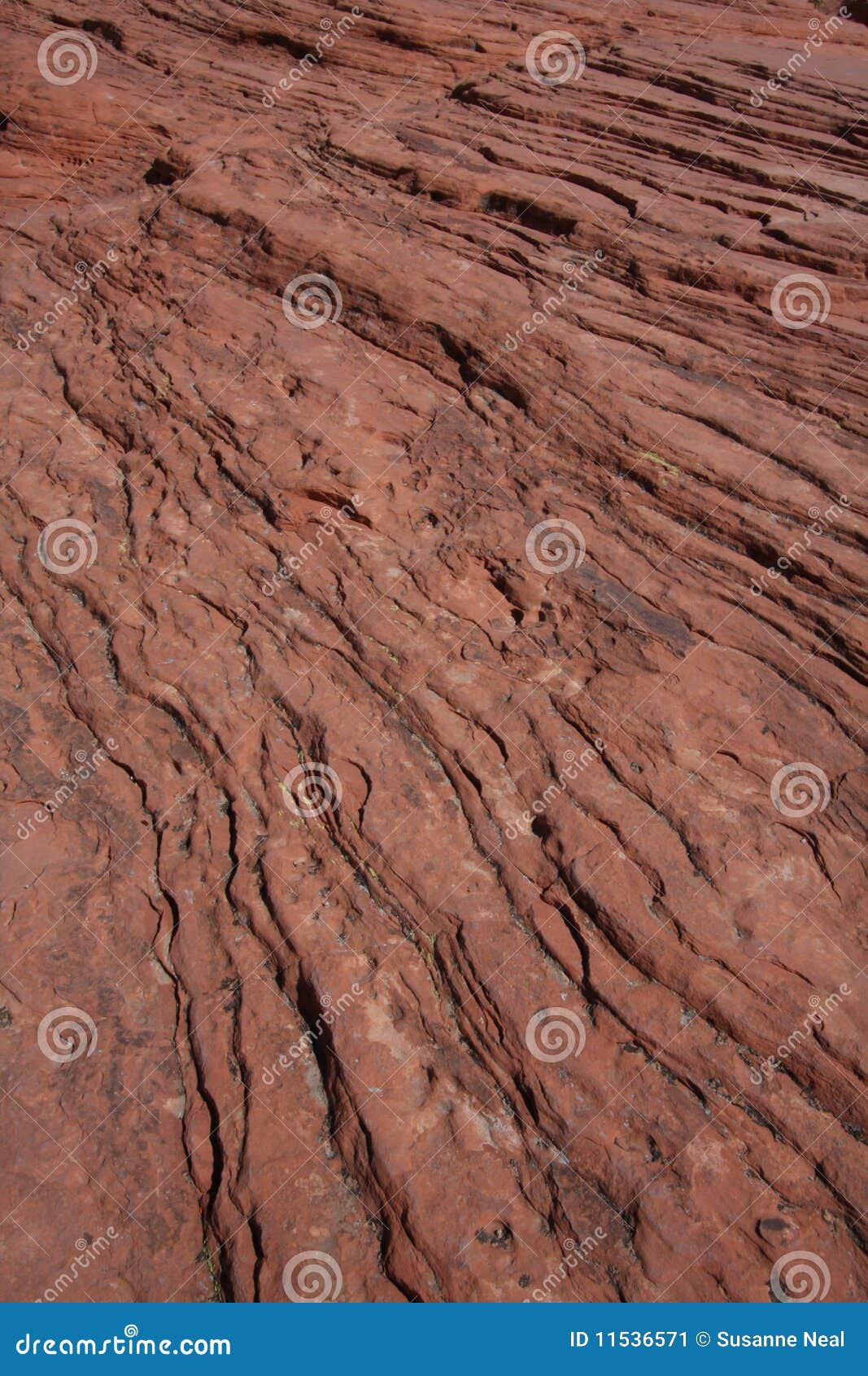 Textured and Lined Red Rock Wall Stock Image - Image of rocky, pattern ...