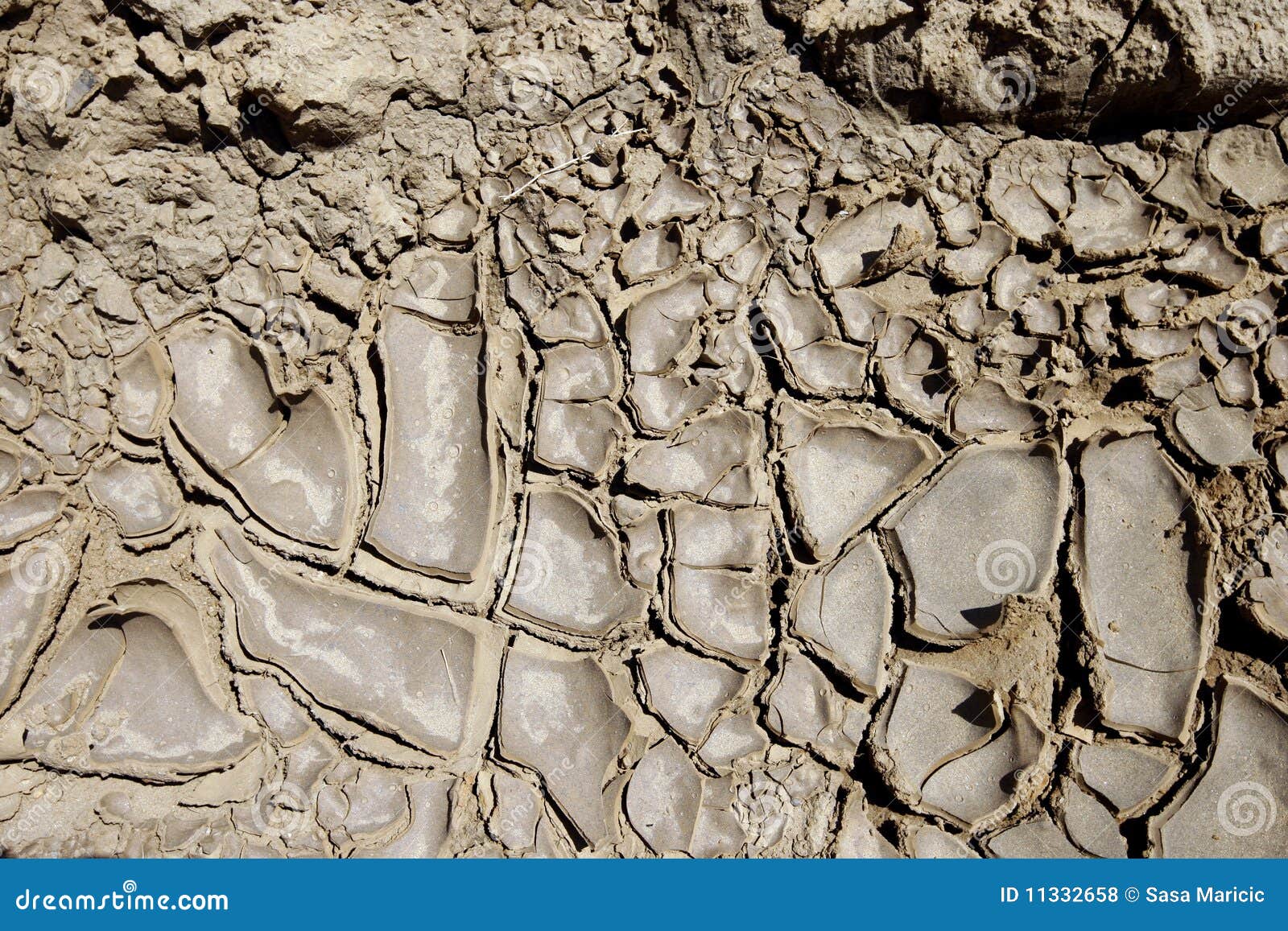 Textured mud stock photo. Image of texture, wasteland - 11332658