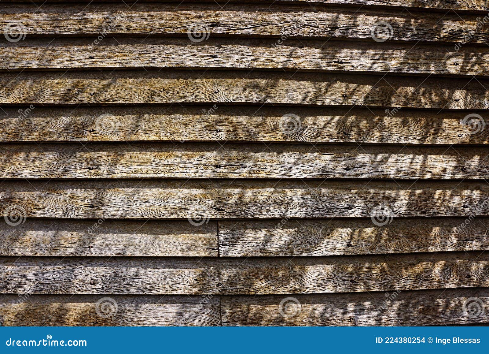 Textured Old Clapboard Weatherboard Wall. Stock Photo - Image of ...