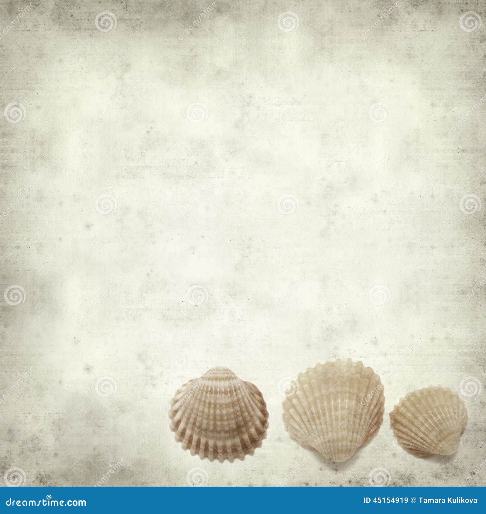 Textured Old Paper Background with Stock Image - Image of shell, spots ...
