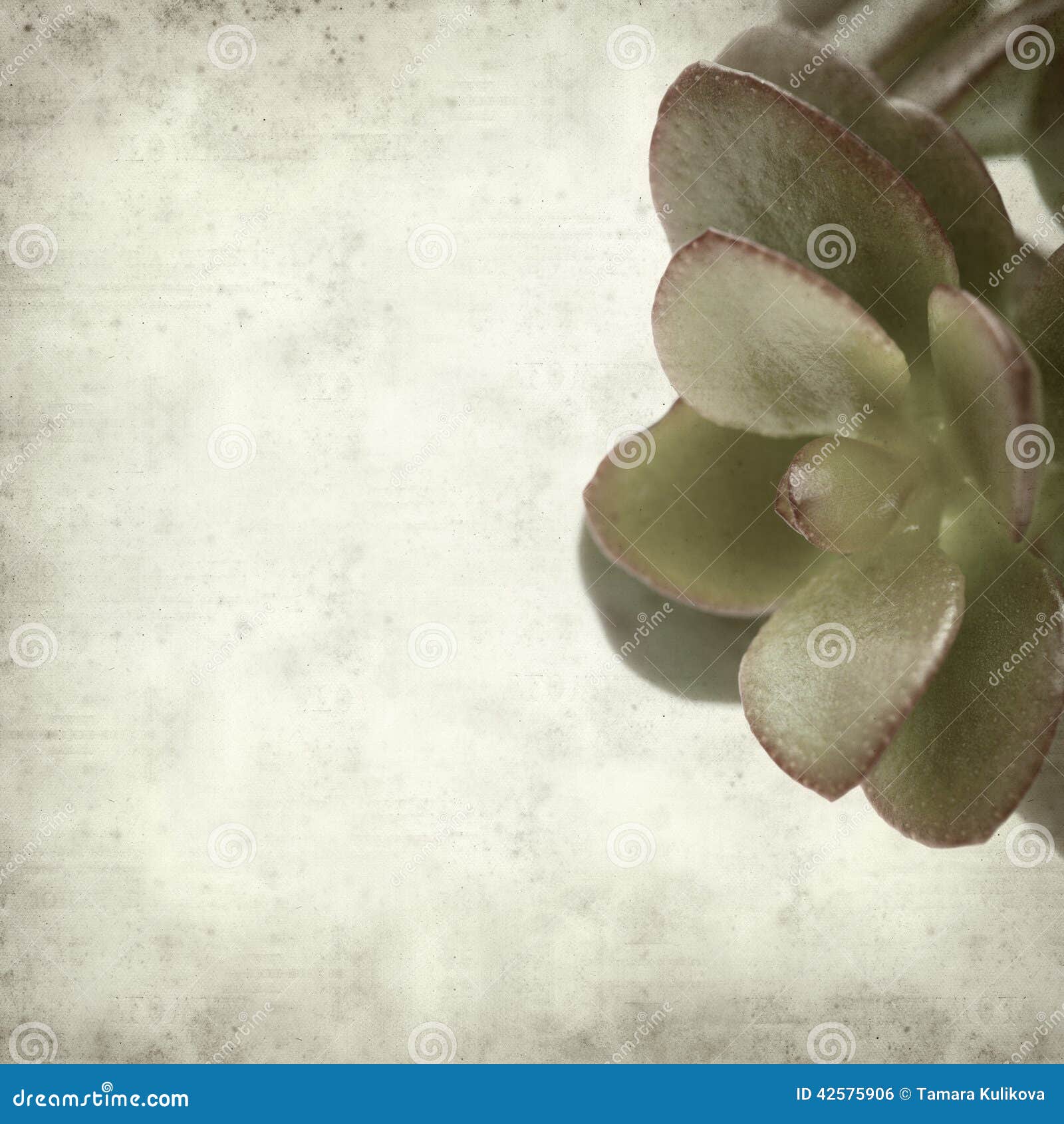 Textured Old Paper Background Stock Photo - Image of stripes, beautiful ...