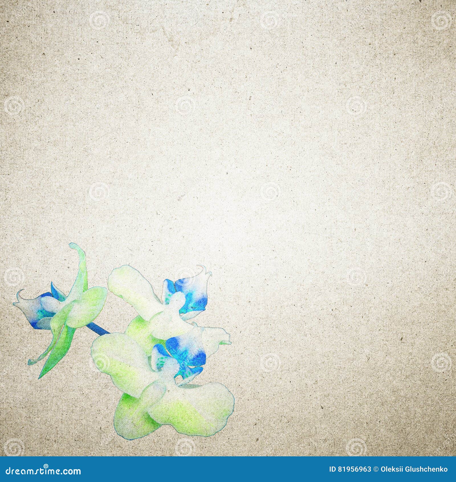 Textured Old Paper Background with Flower Stock Image - Image of frame ...