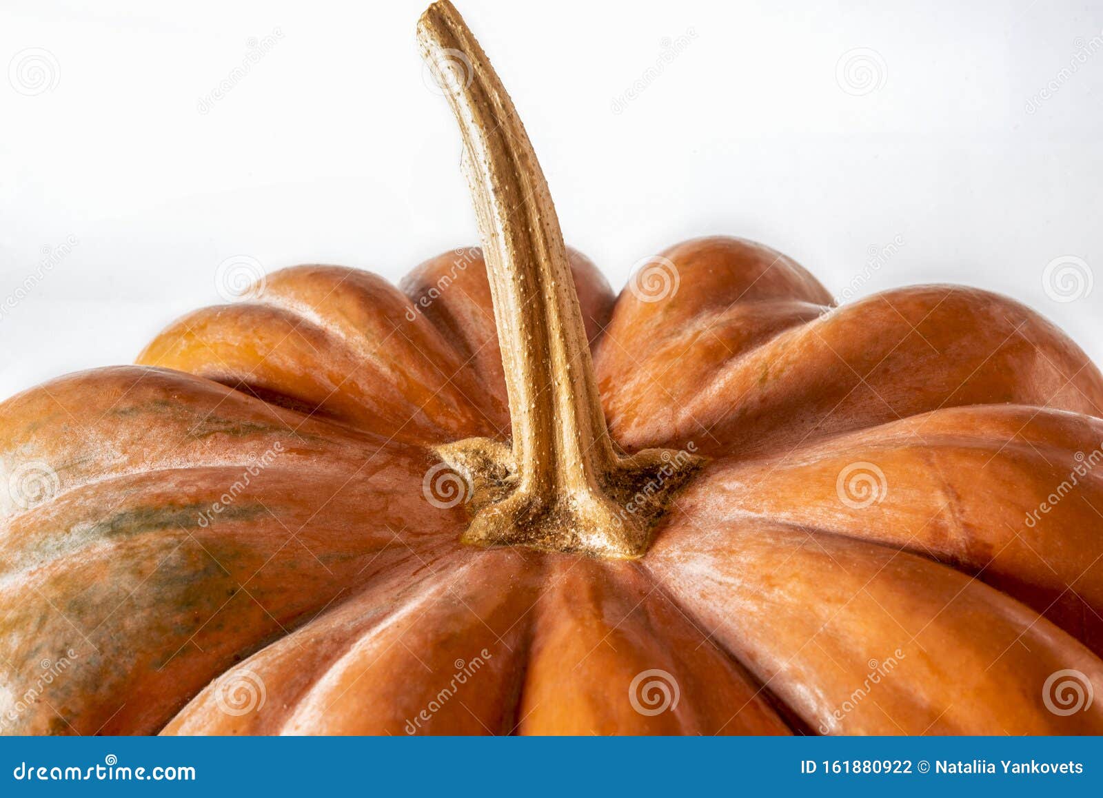 Textured Orange Pumpkin with a Long Tail on a White Background Stock ...