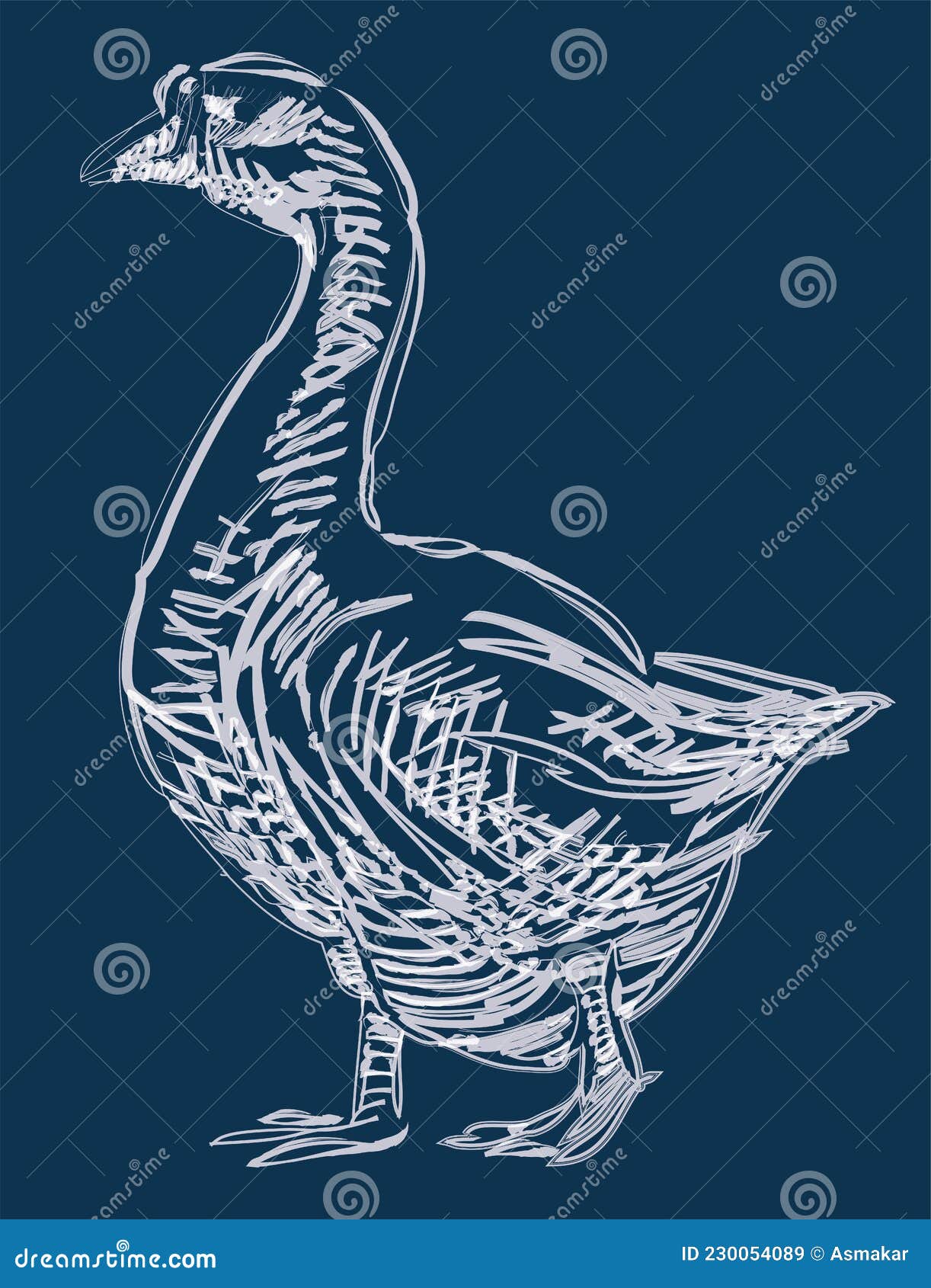 Textured Outline Brush Drawing of Walking Domestic Goose Stock Vector ...