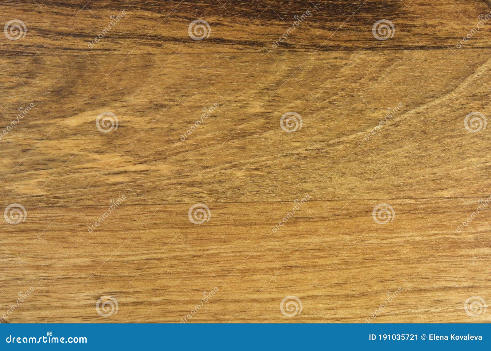 Natural Gum From A Mango Tree Bark Royalty-Free Stock Photography ...