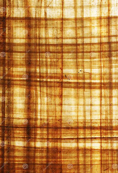 Textured papyrus sheet stock photo. Image of crumpled - 2137722