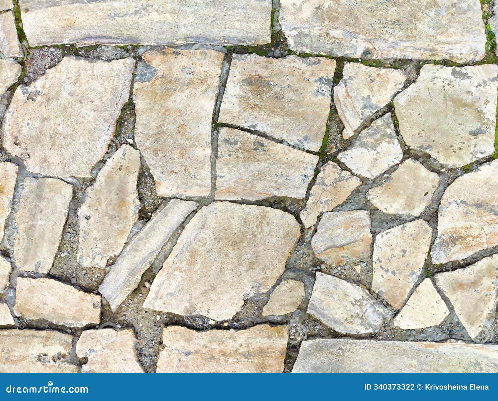 A Textured Pathway Made of Variously Shaped Stones, Creating a Rustic ...