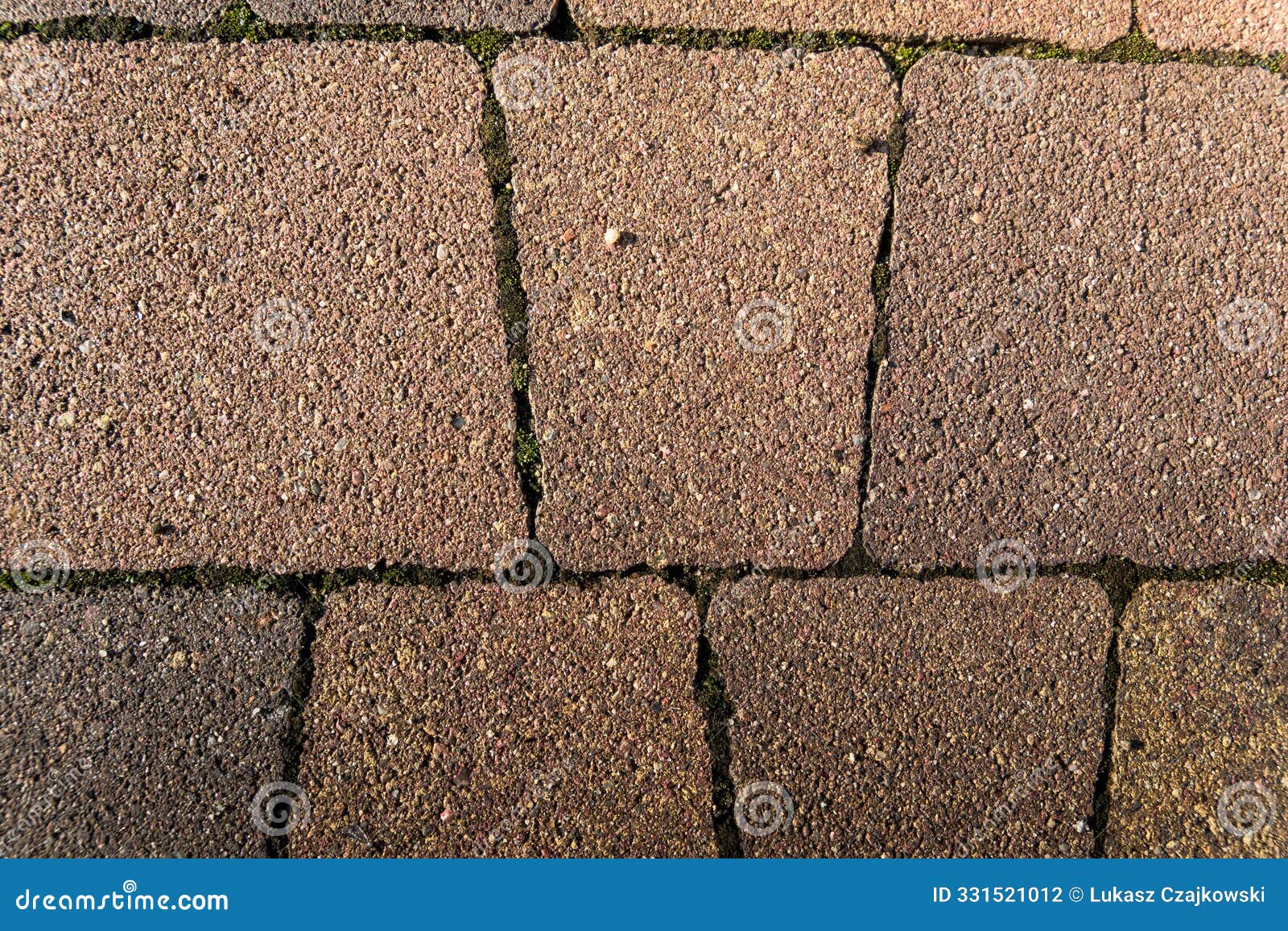 Textured Pavement Close-up with Visible Joints and Moss Stock Photo ...