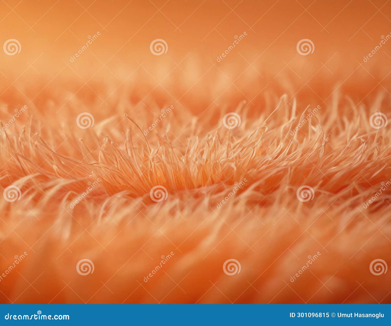 Peach fuzz texture design stock illustration. Illustration of texture ...