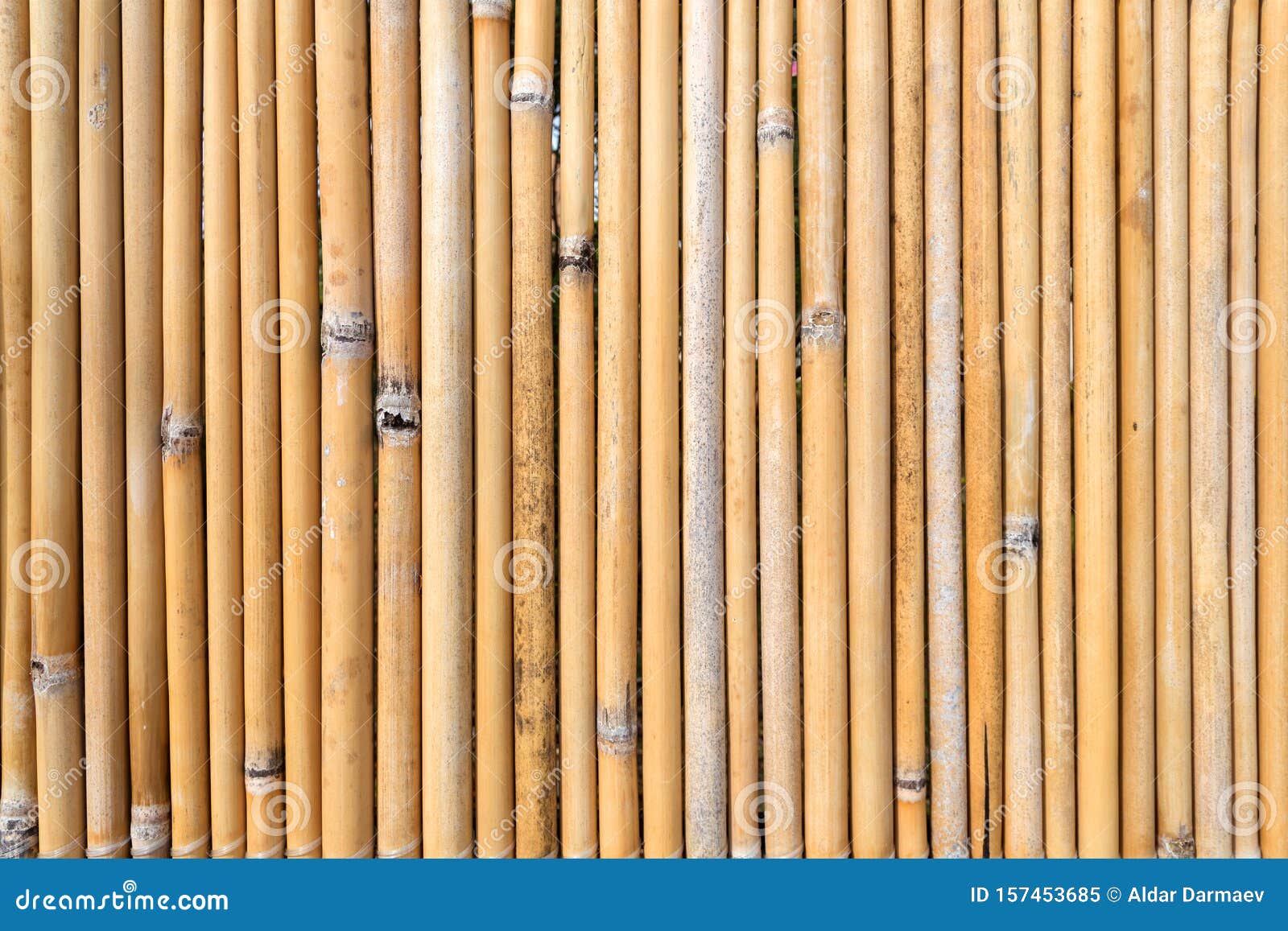 Textured Photo of a Vertical Thin Brown Bamboo Wall Stock Image - Image ...