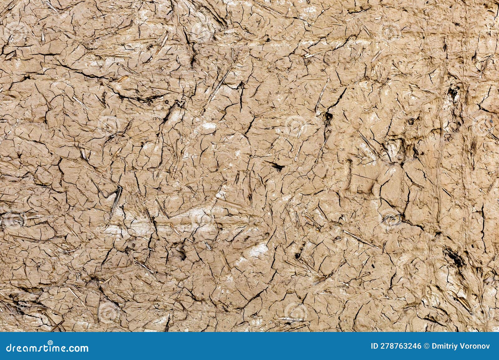 Textured Plaster Background To Create a Background or Textures for the ...