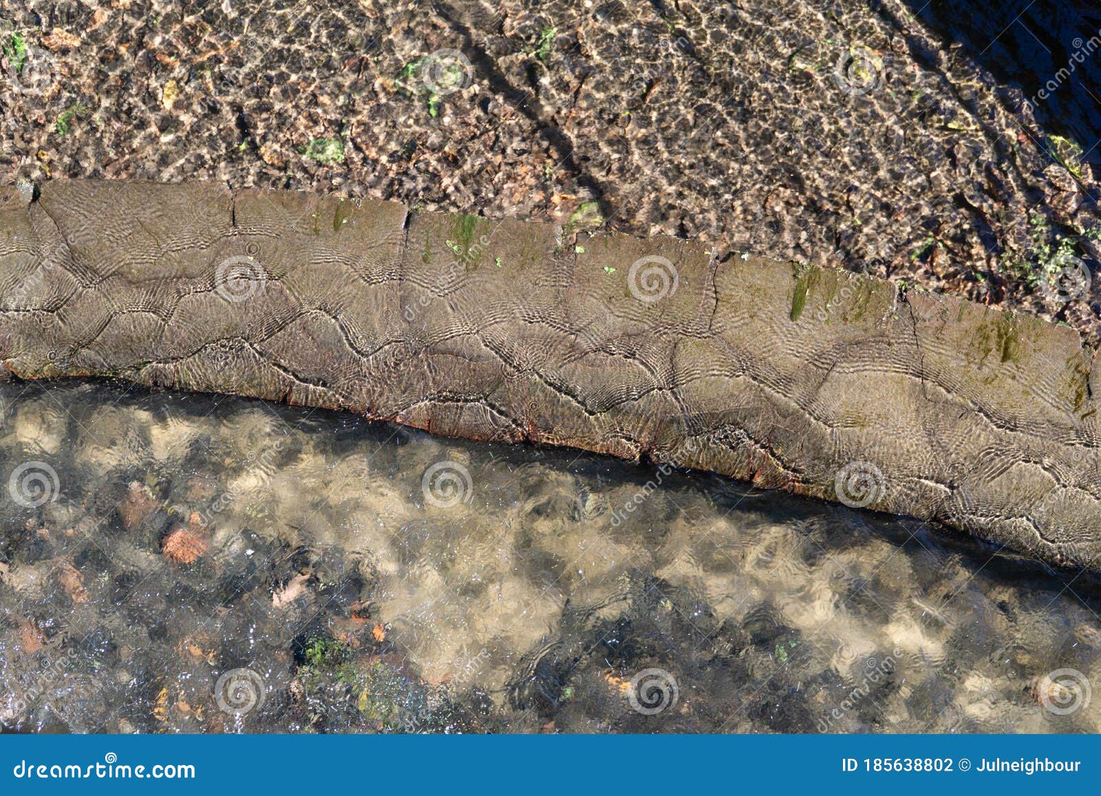 Textured Pound Ground Created by Sun Reflection in the Clear ...