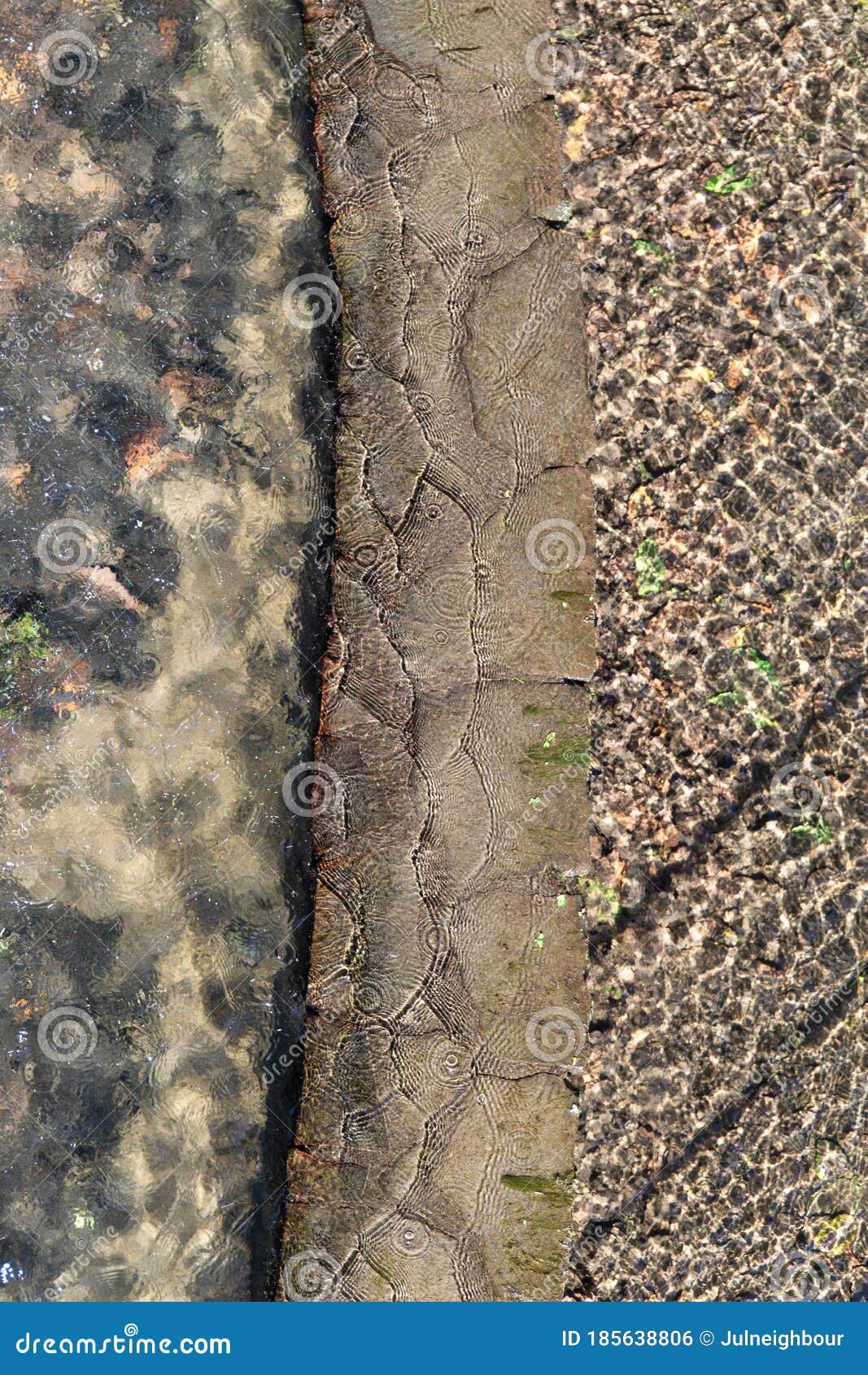 Textured Pound Ground Created by Sun Reflection in the Clear ...