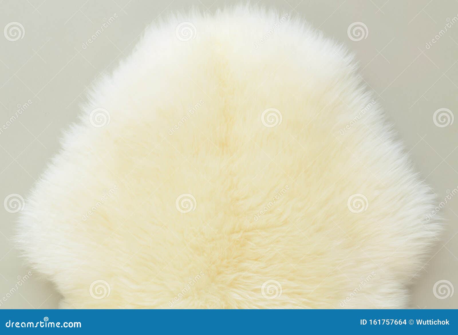 Background and Textured of Real White Cream Wool Sheep Stock Photo ...
