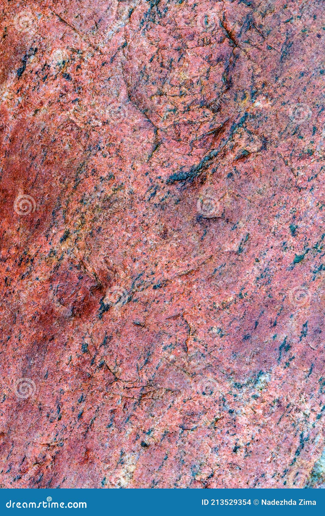 Textured Red Background. the Texture of the Sea Stone is Red-brown ...