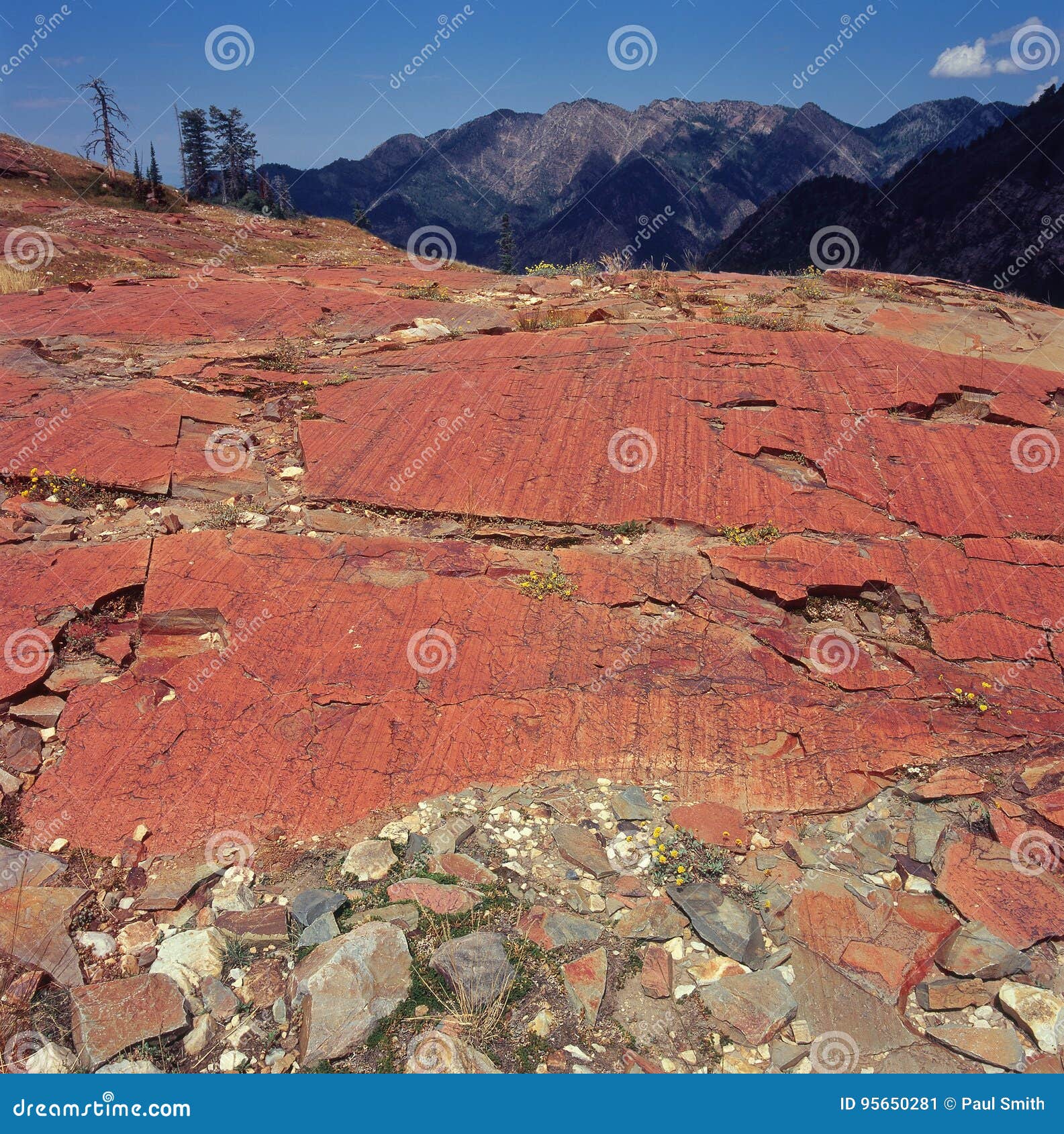 Textured Redrock in the Uinta-Wasatch-Cache National Forest, Wasatch ...