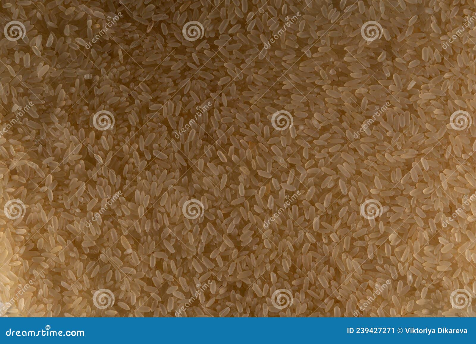 Textured Rice Grains, Poured in One Layer, Form a Textured Surface ...