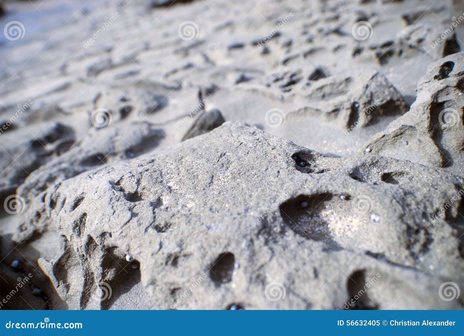 Textured Rocks at the Beach Stock Image - Image of abstract, worn: 56632405