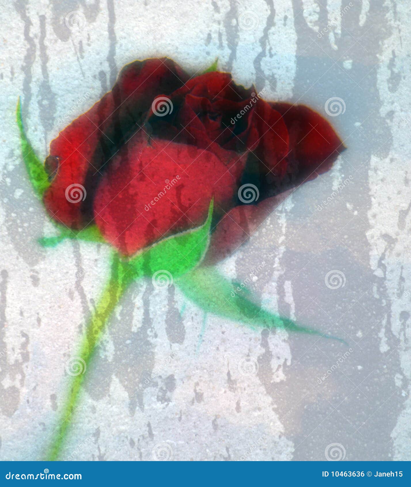 Textured rose stock illustration. Illustration of texture - 10463636