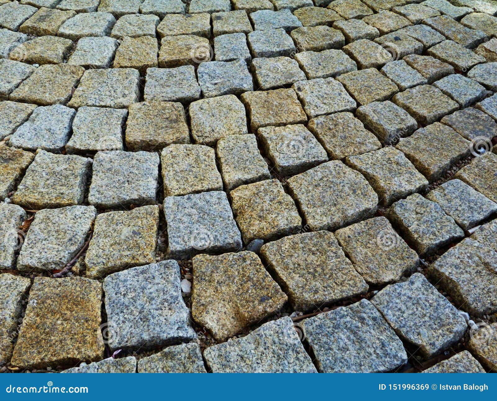 Textured and Rustic Cube Quartz Stone Pavement Detail of Square Shapes ...
