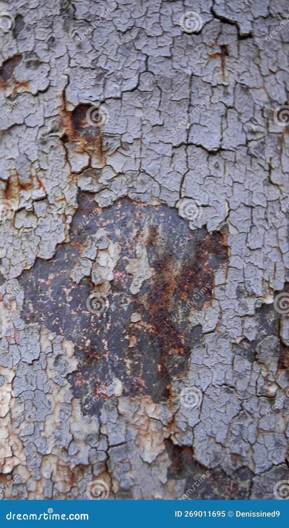Textured Rusty Iron Sheet Background Stock Image - Image of sheet ...